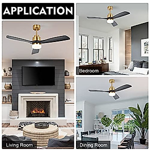 52" Outdoor Ceiling Fan with Light and Remote, Black Gold Ceiling Fan Light with Quiet DC Motor and 3 Solid Blades Noiseless Reversible Fan for Bedroom, Patio, 6-Speed Timer