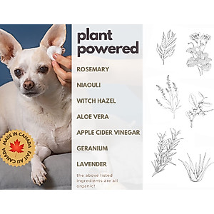 Natural Dog Ear Cleaner Solution - Dog Itchy Ears Treatment - Eliminates Odor & Waxy Buildup - Gentle Dog Ear Wash Formula - Made in Canda by Black Sheep Organics (4 fl oz)