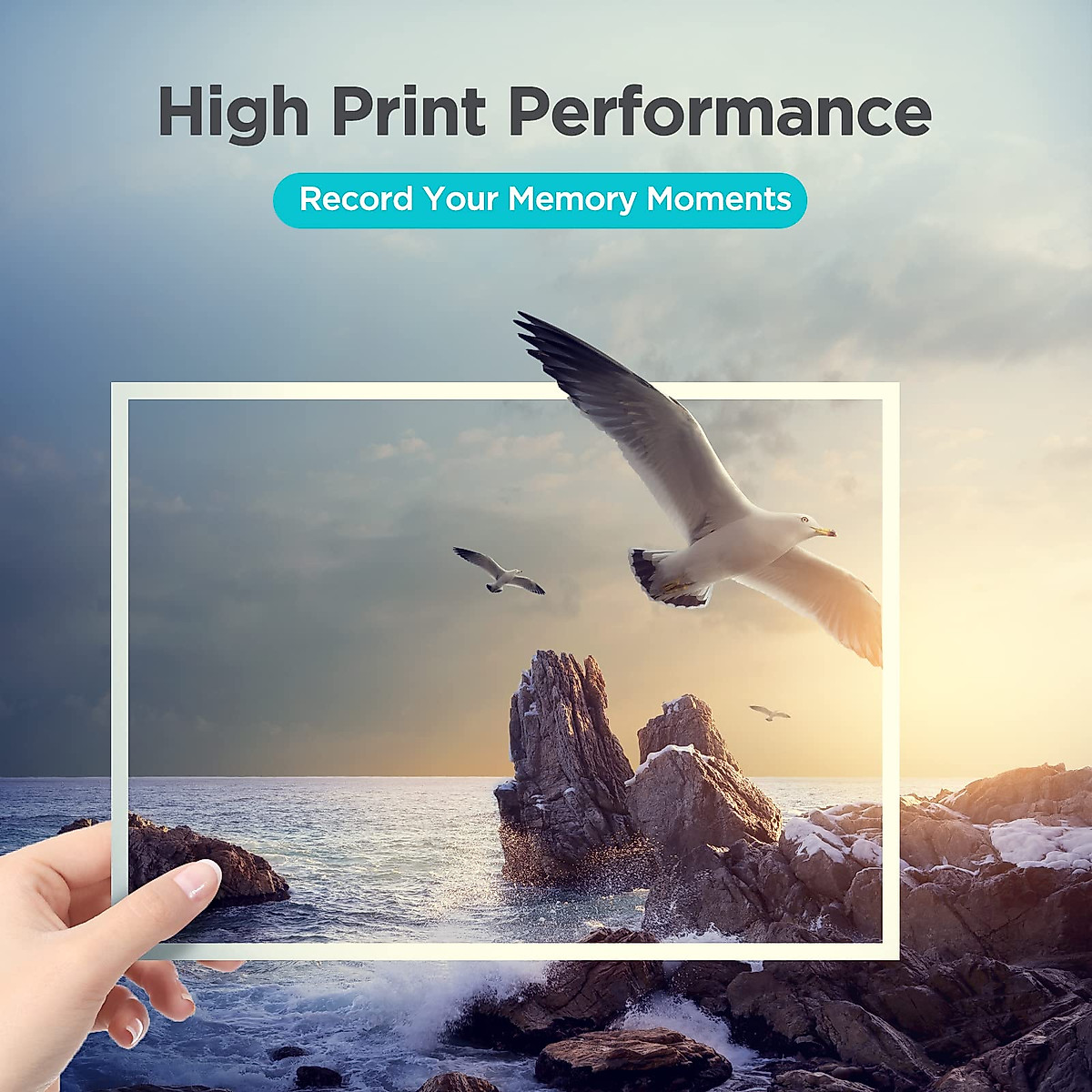 902 XL 5-Pack Ink Cartridges Compatible with HP 902XL 902 High Yield, Compatible with OfficeJet Pro 6978 6968 6958 6962 6970 6954 6960 6979 6950 Printer(2 Black, 1 Cyan,1 Magenta,1 Yellow)