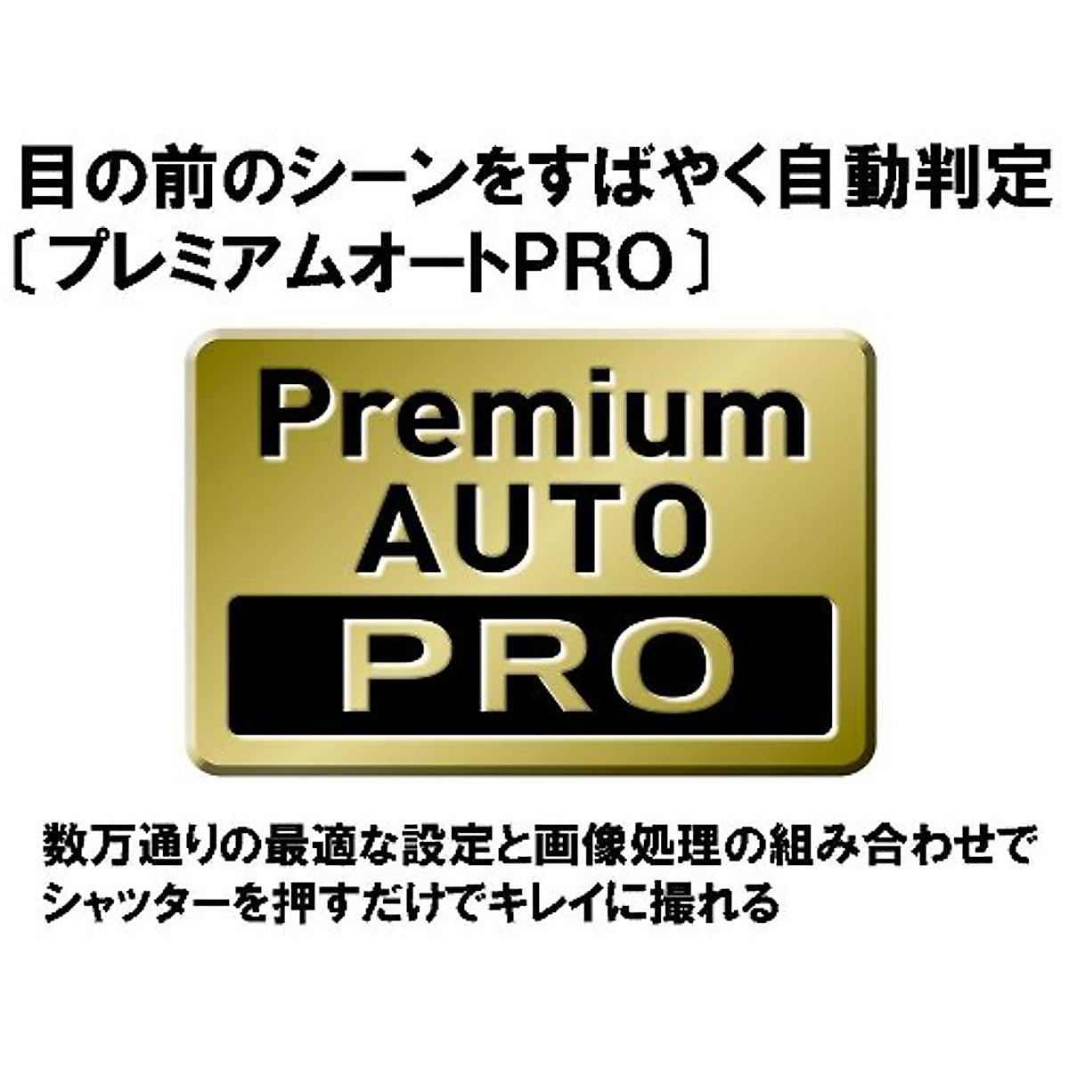 Casio High Speed Exilim Ex-ZR400 Digital Camera Silver EX-ZR400SR - International Version (No Warranty)