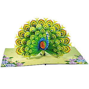 WOWPAPERART Peacock - 3D Pop Up Greeting Card For All Occasions - Love, Birthday, Christmas - Message Note for Personalized - Thick Envelope - 5x7 In