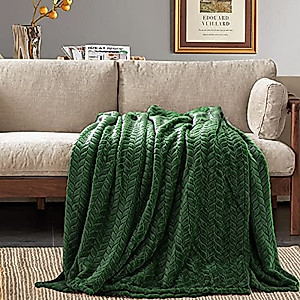 inhand Fleece Throw Blankets, Super Soft Flannel Cozy Blankets for Adults, Washable Lightweight Fuzzy Blanket for Couch Sofa Bed Office, Throw Size Warm Plush Blankets for All Season (50"×60", Green)