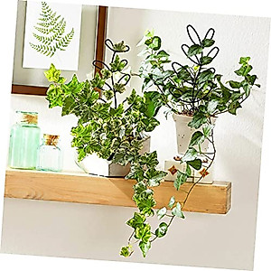 YARNOW 6 Pcs Plant Climbing Frame Indoor Decor Houseplants Live Indoor Green Roses Trellises for Plants Plant Cages Vine Plant Trellis Indoor Plant Trellis Plant Climbing Stand Iron Black