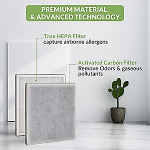 Homeland Goods Replacement Filter Compatible with PureZone Pure Enrichment 3-in-1 Air High-Efficiency H13 Grade True HEPA Purifier Part No PEAIRFIL 2-Pack