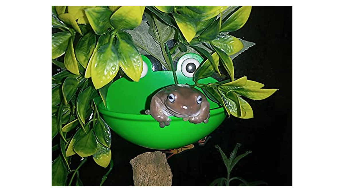 Frog Habitat with Suction Cups for Small Amphibians