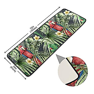 ALAZA Tropical Pattern with Parrots Hibiscus Leaves Runner Area Rug Non Slip Floor Mat for Hallway Entryway Living Room Bedroom Dorm Home Decor 72x24 inches