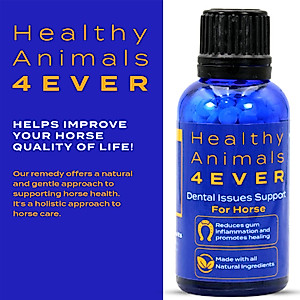 Healthy Animals 4Ever All-Natural Horse Dental Health Support - Maintains Strong, Healthy Teeth & Bones - Dental Supplements for Horses - Homeopathic & Highly Effective - 300 Tablets