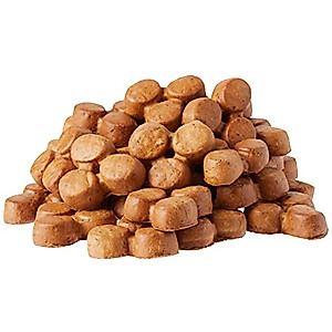 Amazon Brand - Wag Expedition Human Grade Organic Biscuits Dog Treats, Non-GMO, Gluten Free, Pumpkin & Chia Seed, 10oz