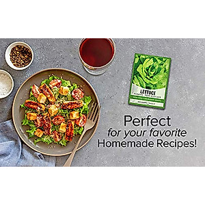 Romaine Lettuce Seeds for Planting - Parris Island Cos Heirloom, Non-GMO Vegetable Variety- 2 Grams Seeds Great for Spring, Summer, Fall, Winter Garden and Hydroponics by Gardeners Basics