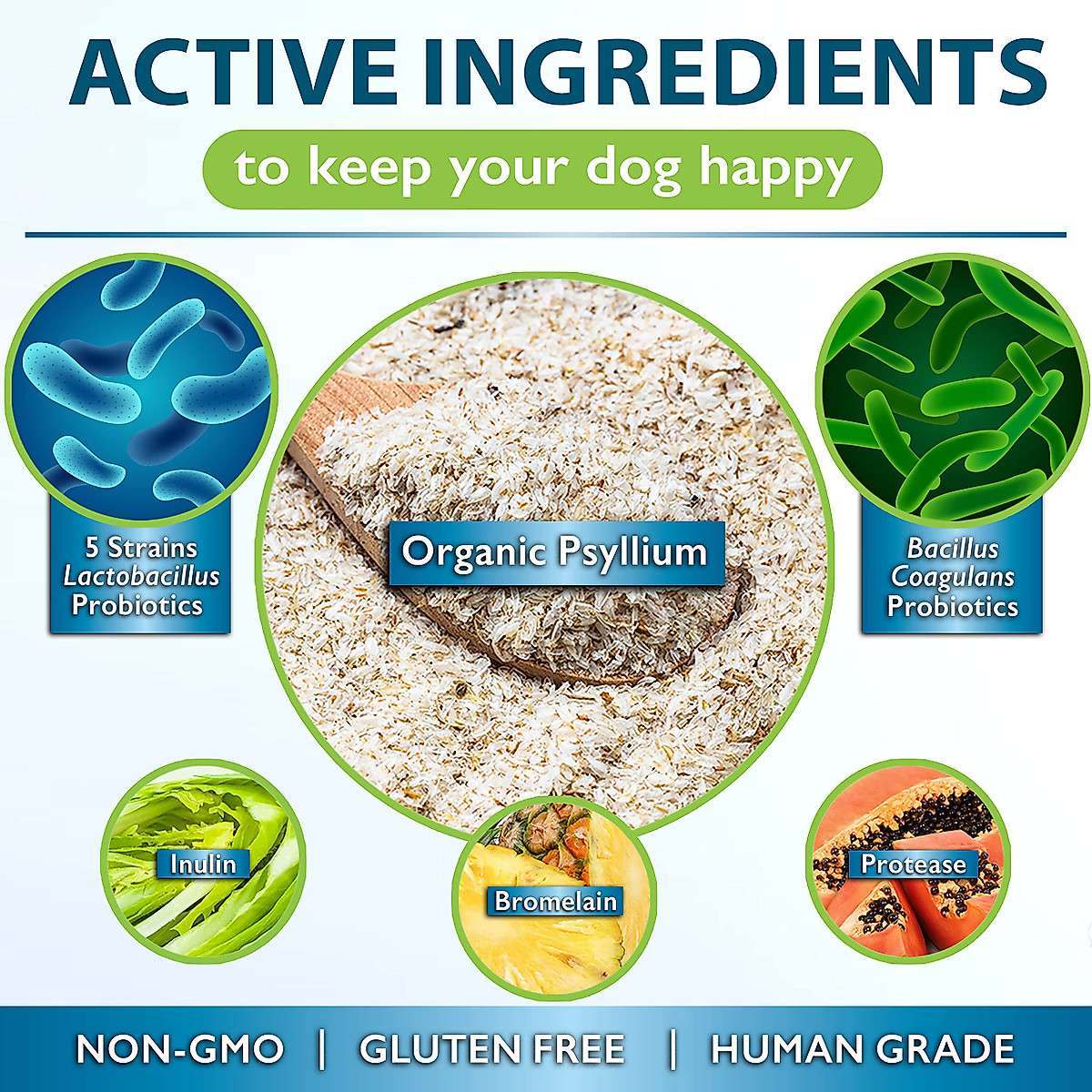 Nutrition Strength Psyllium for Dogs Complex to Promote Your Pet's Gut Health, Stimulate Healthy Digestion, Support Normal Bowel Function, with Psyllium + Inulin, Bromelain & Protease, 90 Soft Chews