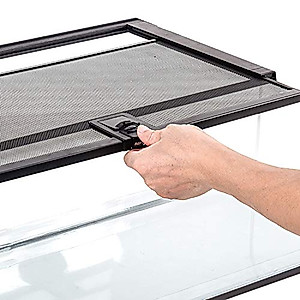 REPTIZOO Mini Reptile Glass Terrarium Tank 8" x 8" x 12" Full View Visually Appealing Top Feeding & Venlitation Small Reptile Glass Habitat