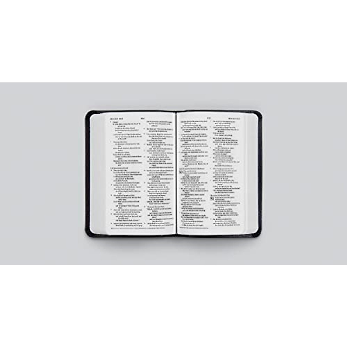 ESV Value Compact Bible (TruTone, Black)
