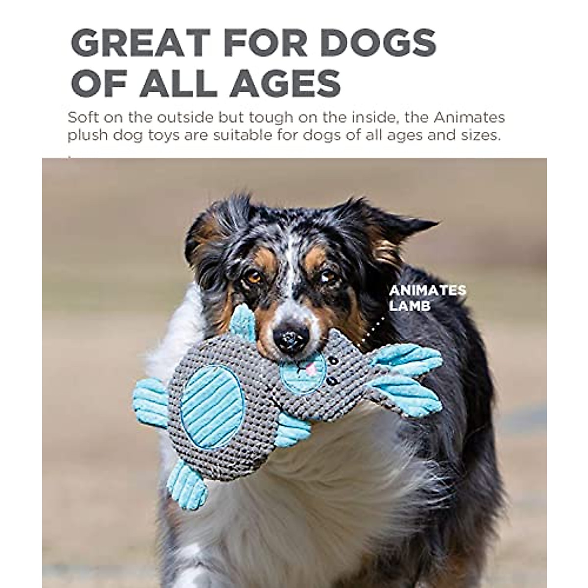 Charming Pet Animates Lamb Plush Squeaky Dog Toy