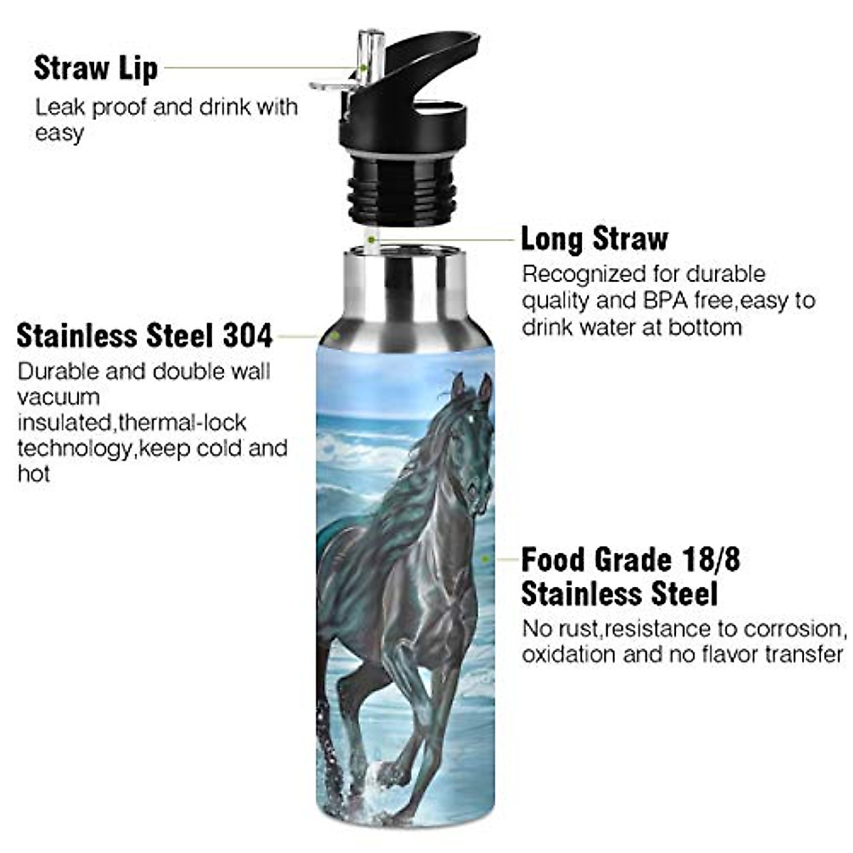 xigua Horse Water Bottle Stainless Steel Vacuum Insulated Water Bottle Standard Mouth Wide Handle Bottle with Straw Lid for Sports School Gym Outdoor,20 oz.
