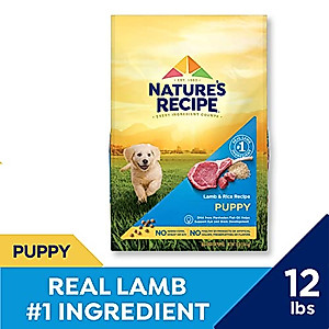 Nature′s Recipe Dry Puppy Food, Lamb & Rice Recipe, 12 lb. Bag
