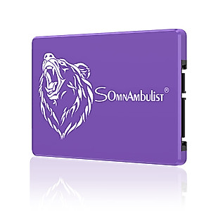 Somnambulist SSD SATAIII Hard Drive 2.5 SSD 120GB 480GB 512GB Hard Drive Internal Solid State Drive (Purple Bear Head 240GB)