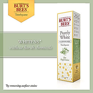 P&G-Burts Bees Toothpaste Purely White 4.7 Ounce Zen Peppermint (Pack of 2)