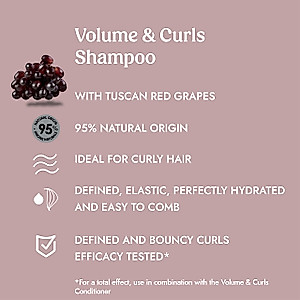 Itinera Tuscan Vineyards Gift Box with Volume & Curls Shampoo & Conditioner (2 x 12.51 fl oz) - For Curly Hair - Vegan Friendly - 95%+ Natural Origin Ingredients