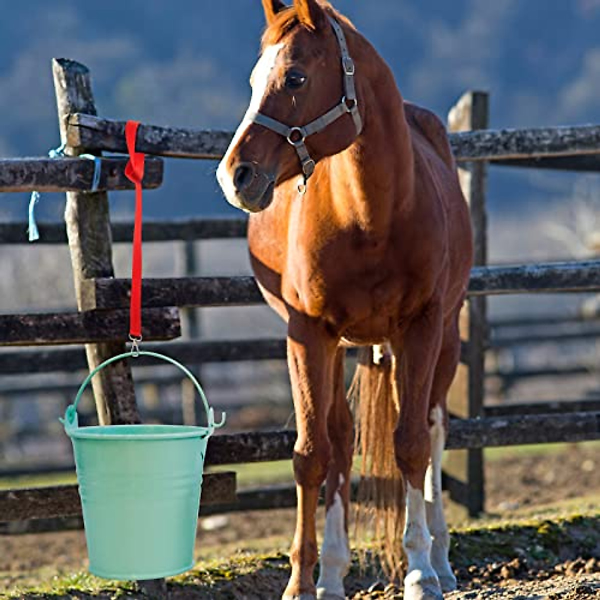 10 Pieces Nylon Bucket Strap Horse Water Bucket Strap Hangers Adjustable Bucket Strap Hanging Nylon Strap for Horses Hay Nets, Water Buckets Horse Supplies for Indoor or Outdoor Use, Red, 22 Inch