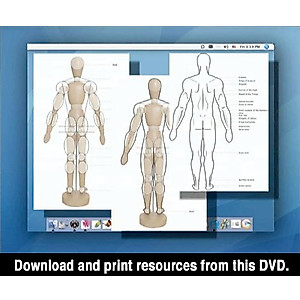 Drawing From The Manikin