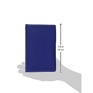 Mead Loose-Leaf Memo Book, 6 3/4 x 3 3/4", 6-Ring, 1/2-Inch, 40 Pages, Assorted - Color May Vary (46034)