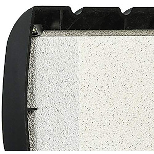 PIT BOSS 67283 Stone Grill Brush, 12"