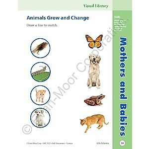 Evan-Moor Skill Sharpeners Science Workbook, Grade 1, Physical, Life, and Earth Science, Songs, Activities, Space, Animals and Eggs, Plants, Habitats, Recycling, Weather, Technology, Homeschool