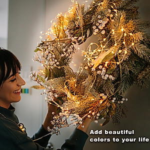 Fairy Lights Battery Operated 2 Pack 16.4Ft 50 LEDs Silver Copper Wire Twinkle String Lights for Halloween Christmas Bedroom Indoor Outdoor Wedding Dorm Parties Holiday Yard Decorations (Warm White)