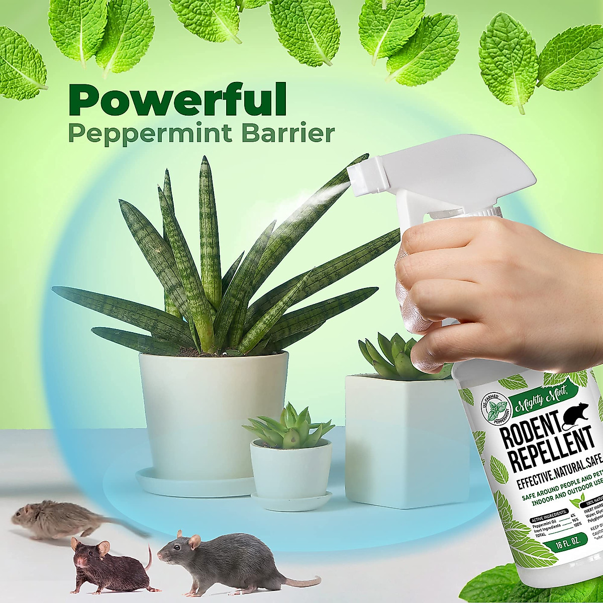 Peppermint Oil Rodent Repellent Spray and Concentrate - Makes 1 Gallon
