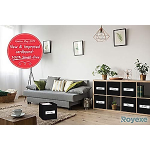 Royexe Storage Cubes - 11 Inch Cube Storage Bins (Set of 8). Features Large Label Window & Dual Handles & Fabric Cubby Organizer Baskets | Foldable Closet Shelf Organization Boxes (Black)