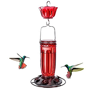 Kingsyard Glass Hummingbird Feeder for Outdoors Wild Bird Feeder with 6 Feeding Ports Hanging for Garden Yard, Red (Ant Moat Included)
