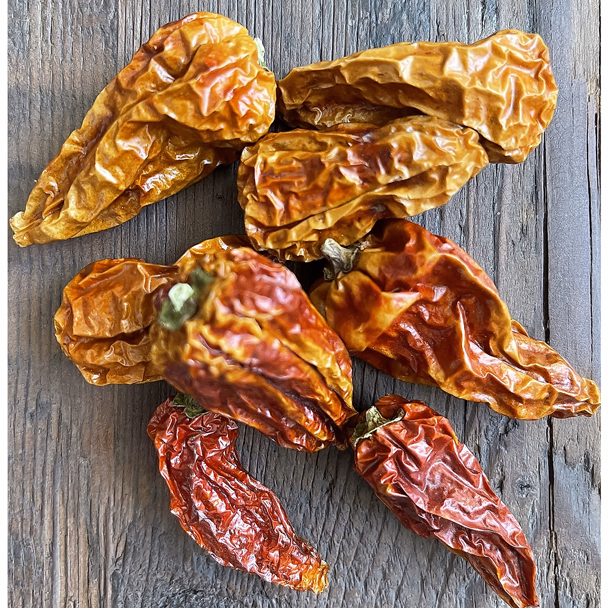 Whole Dried Ghost Pepper Pods (Bhut Jolokia) - 8 Whole Pods