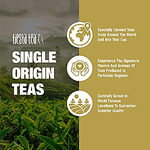 Tiesta Tea - First Flush Darjeeling Black Tea | Loose Leaf | Single Origin Premium Black Tea from India | Pure High-Caffeinated Blend | Makes Hot or Iced & Up to 50 Cups | 4oz Refillable Tin