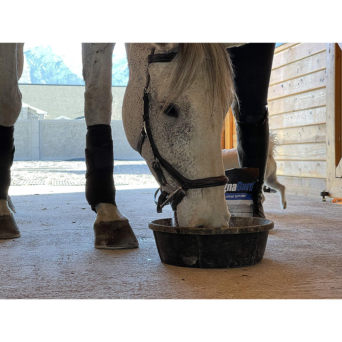 MagnaGard - Gastric Support Supplement for Horses | Relieves Ulcers, Calming Supplement, Magnesium & Other Vital Minerals | Powder, 20lb Bucket, 5-Month Supply | by Eagle Equine