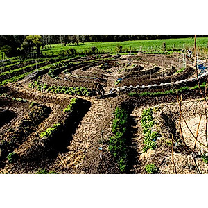 DEMAIN (DVD) (France TV) (French Edition)