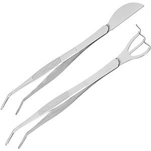 DOITOOL 1 Set Bonsai Tweezers Plating Tweezers Mini Plant Rake Tweezers for Crafts Bonsai Tools Crafts Tweezers Bonsai Tree Tweezers Angled Potted Plant Stainless Steel Moss