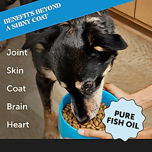 Pet Honesty Wild Alaskan Salmon Oil, Omega-3 Fish Oil for Dogs and Cats, Fatty Acids, Salmon Oil for Dogs, Skin and Coat Health, Pure Dog Food Topper, Supports Joints, Brain & Heart Health - 16 oz