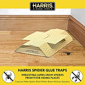 Harris Natural Spider Glue Traps with Lure (2-Pack)