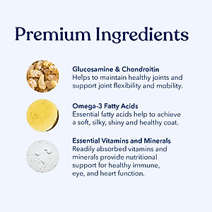 Honest Paws Probiotics for Dogs & Dog Multivitamin - Glucosamine Chondroitin for Joint Health - Allergies, Immunity, Gut Health - Digestive and Skin & Coat Support