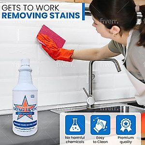 Bring It On Cleaner Sets 32oz Cleaner & Protect Shield Sealant 16oz Set of 2 Complete Sets