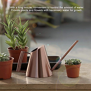 Fdit Watering Can Solid Stainless Steel Pot with Long Spout for Bonsai Indoors Plants Garden Green Plant Flower Watering Kettle Multiple Capacity Optional(1500ml)