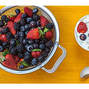 9" Kitchen Fine Mesh Strainer with Sturdy Handle and Wider Hook - Perfect for Quinoa