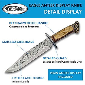 Szco Supplies 15" Etched Blade Bear Outdoor Hunting Knife With Resin Antler Display Stand, Brown