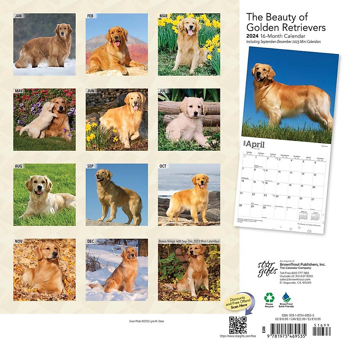 The Beauty of Golden Retrievers | 2024 12 x 24 Inch Monthly Square Wall Calendar | Sticker Sheet | StarGifts | Animals Dog Breeds Retriever
