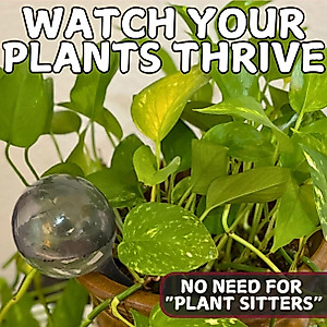 Tiny Terrains Water Globes for Watering Plants Automatically - Shatterproof & Weatherproof Water Bulbs for Indoor or Outdoor Plants - Keep Soil Moist & Plants Happy