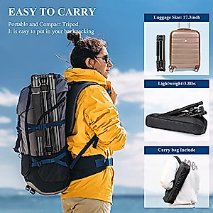 Tripod for Camera, VICTIV Heavy Duty Camera Tripod Monopod, Aluminum Travel Tripod for DSLR, Professional Tripod Stand with Strong Locking Ball Head and 2 Aluminum Quick Release Plate - Gold