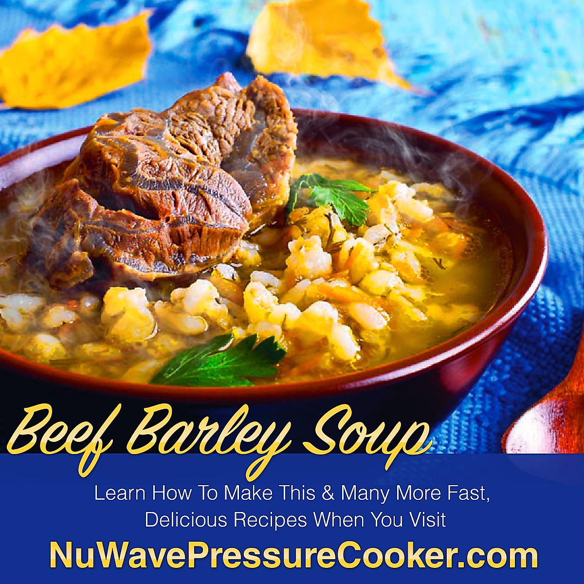 NuWave 6Qt Nutri-Pot Digital Pressure Cooker with bonus accessories & 5-piece Utensil Set