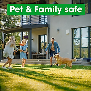 Yard Guard | Non-Toxic, Natural, Ready-to-Use Outdoor Pest Control Spray Safe for Pets & Family | Kills & Repels Fleas, Ticks, Flies, Ants, Mites, Mosquitoes, & More | 32 Fl Oz with Hose End Sprayer