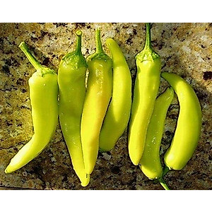 120 Sweet Hungarian Yellow Wax Pepper Seeds for Planting. 1 Gram of Seeds Heirloom Non GMO Garden Vegetable Bulk Survival