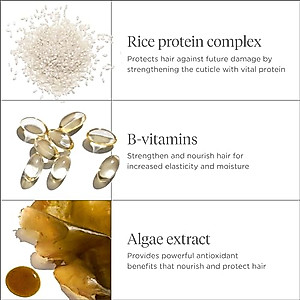 Briogeo Don't Despair, Repair! Megastrength+ Rice Water Protein Treatment, Moisture Strengthening Hair Treatment, Dry and Damaged Hair, Vegan, Cruelty-Free, 5 fl oz